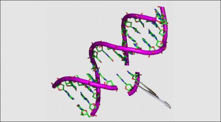 Genetically Modified Humans - what it is and why it matters - Sify