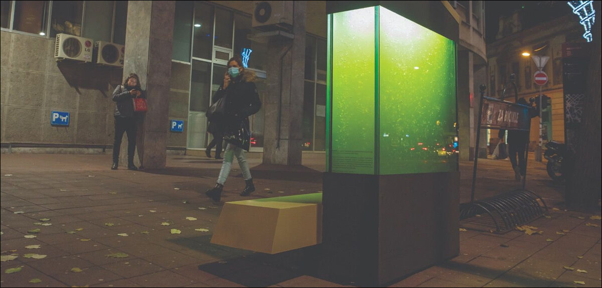 Liquid trees and solid gases, the things we do for the environment - Sify