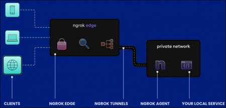 Identifying the Best Development Tunnelling Tool: Ngrok vs. Localtunnel - Sify