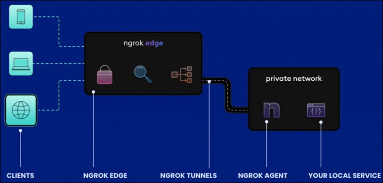 Identifying the Best Development Tunnelling Tool: Ngrok vs. Localtunnel - Sify