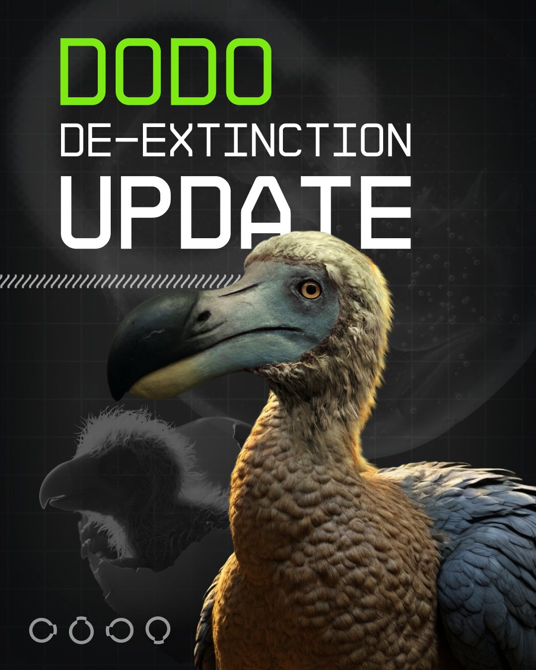 A Howl Heard Worldwide: Scientific Debate Roars Over an Extinct Wolf’s ...